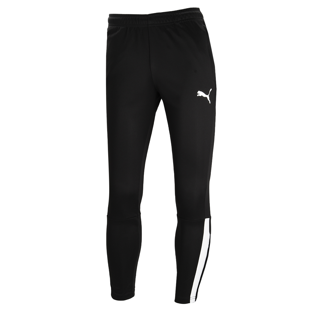 Pantalón Puma Teamliga Training Hombre | Dexter