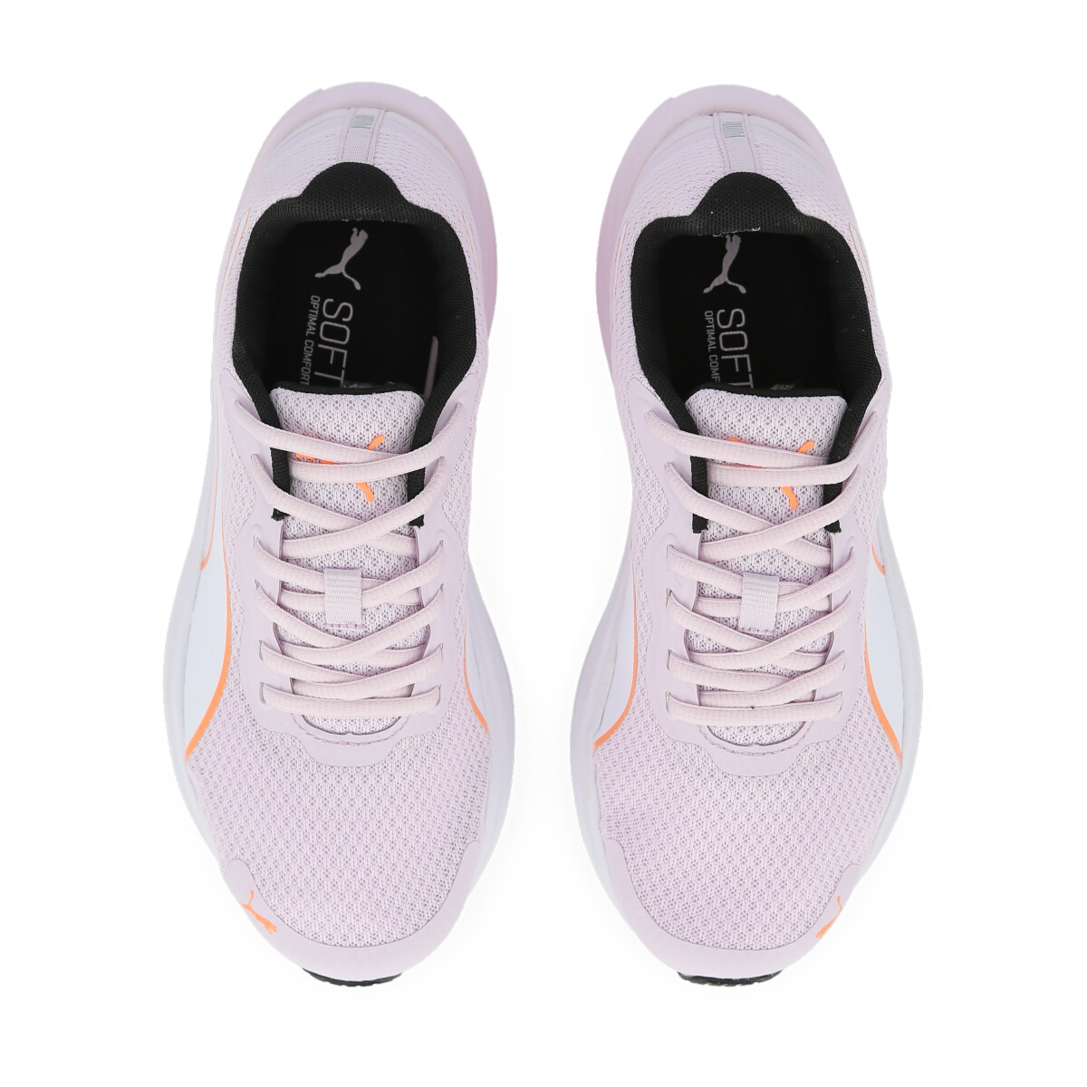 Zapatillas Puma Feline Profoam | Dexter