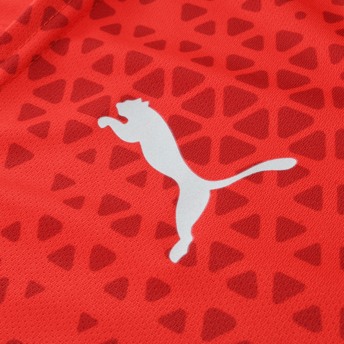 Musculosa Puma Independiente Hombre | Dexter