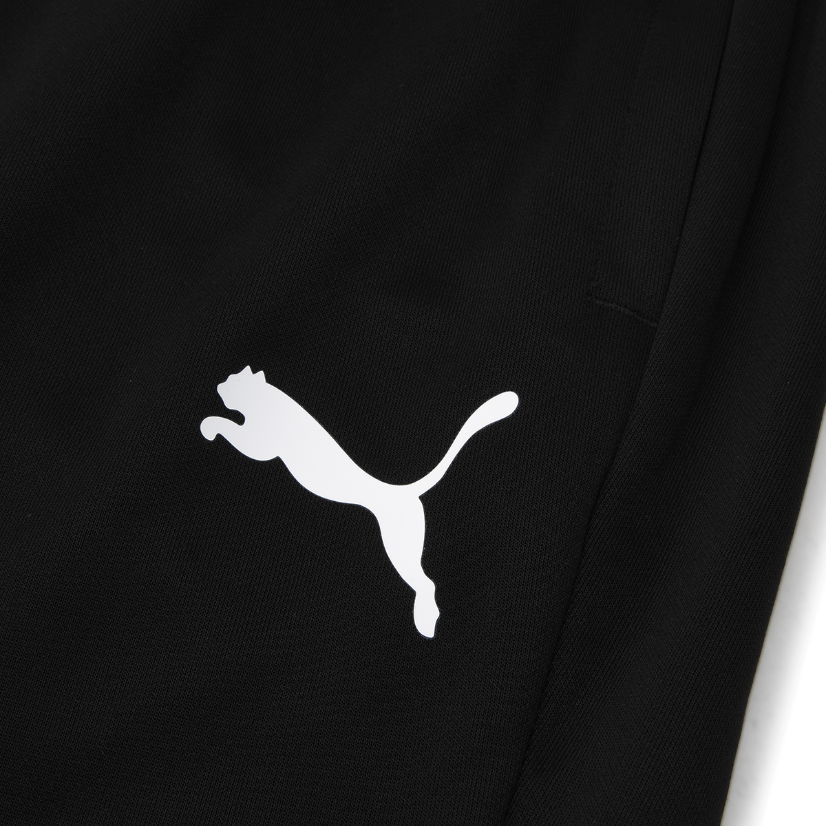 Pantalón Puma Teamliga Training Hombre | Dexter