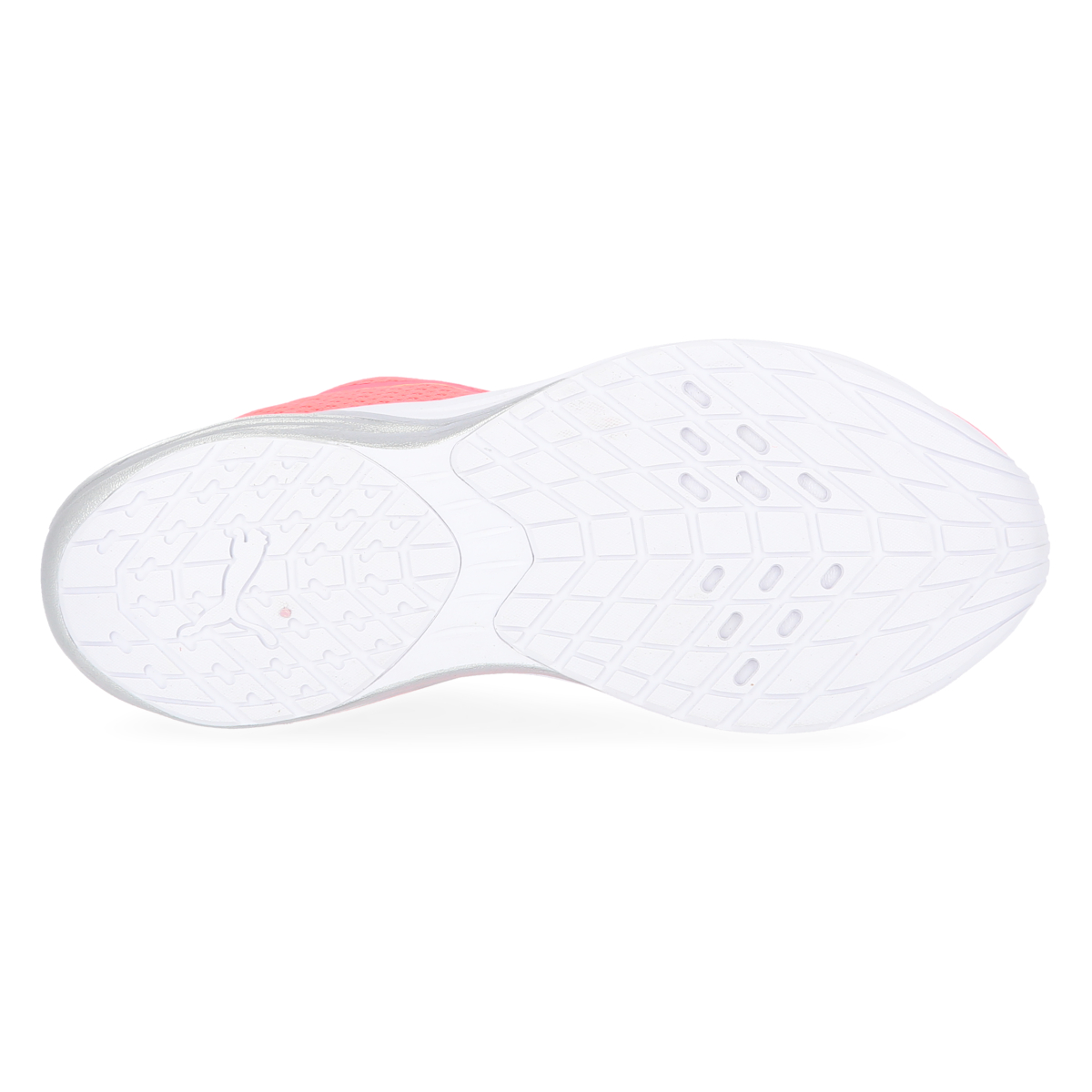 Zapatillas Puma Feline Profoam | Dexter