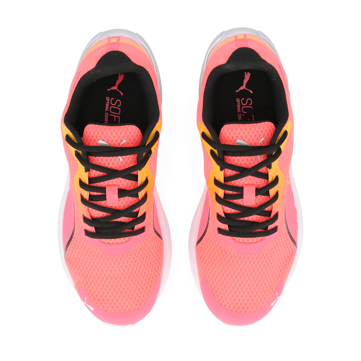 Zapatillas Puma Feline Profoam | Dexter