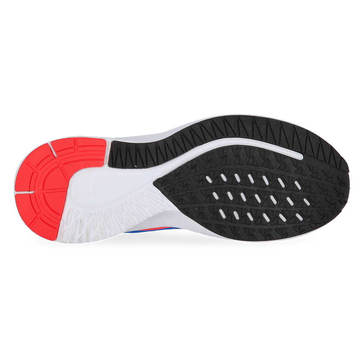 Zapatillas Running Puma Aviator Eng Pro Hombre | Dexter