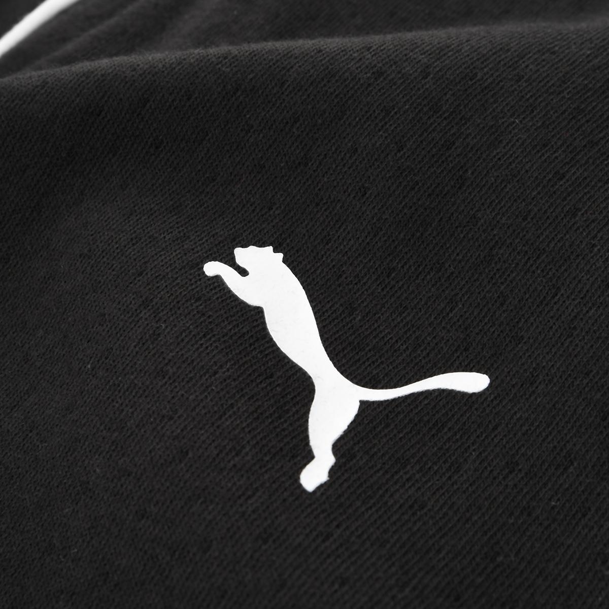 Campera Puma BMW Mms Hombre | Dexter