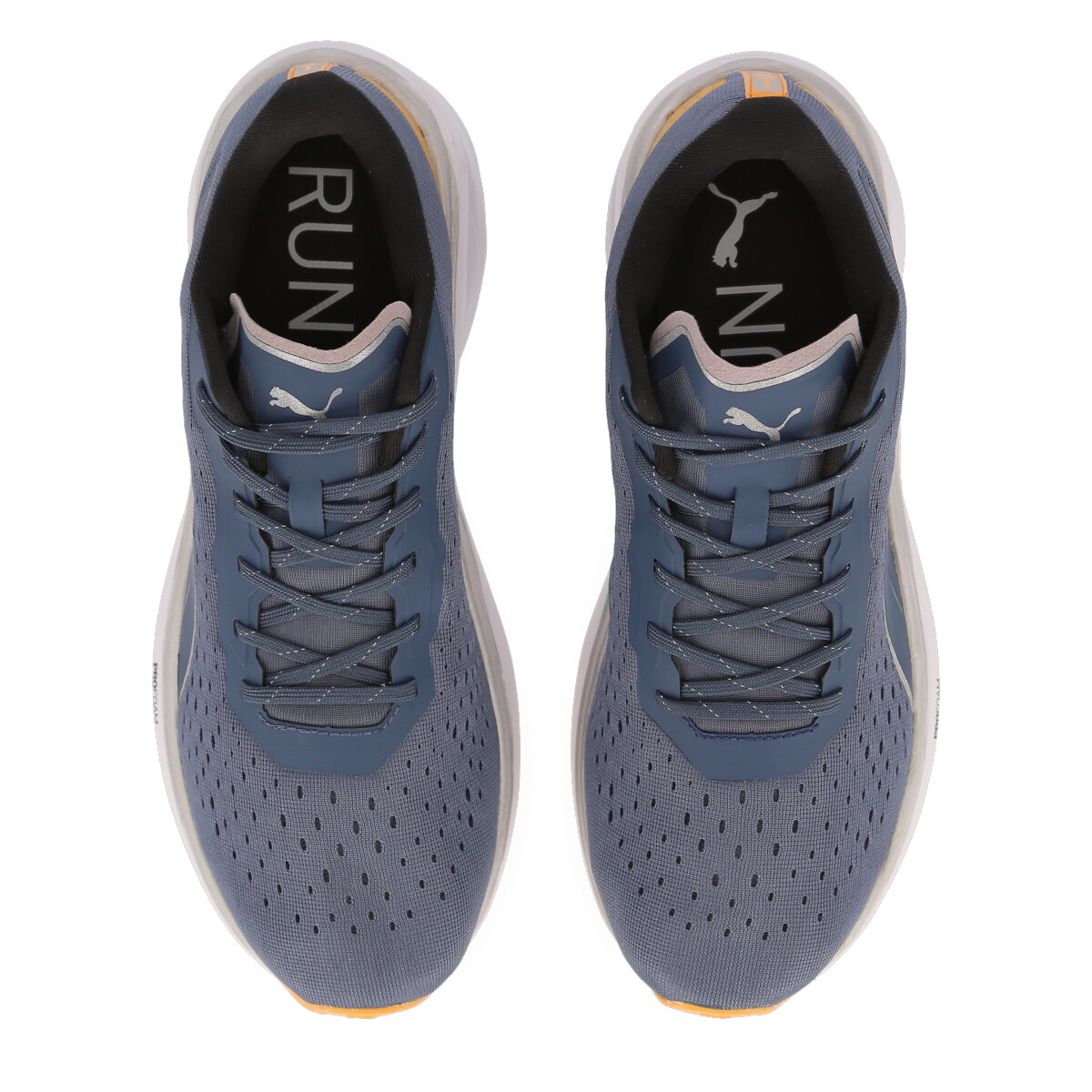 Zapatillas Puma Aviator Eng Pro | Dexter