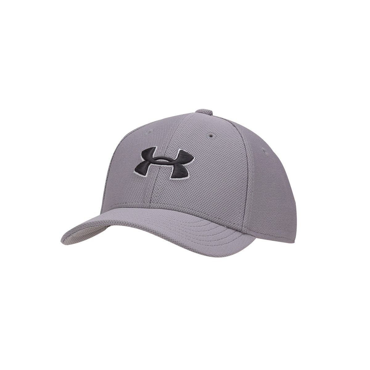 Gorra Under Armour Blitzing 3.0 | Dexter
