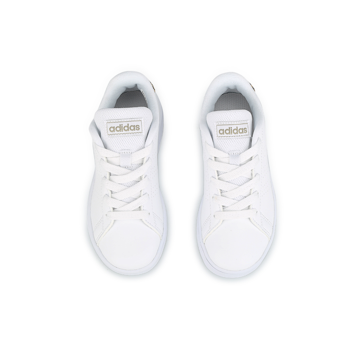 Zapatillas adidas Advantage | Dexter