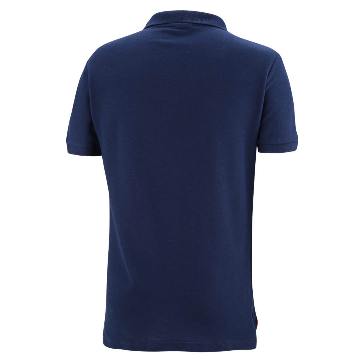 Remera Canterbury Ccc Polo | Dexter