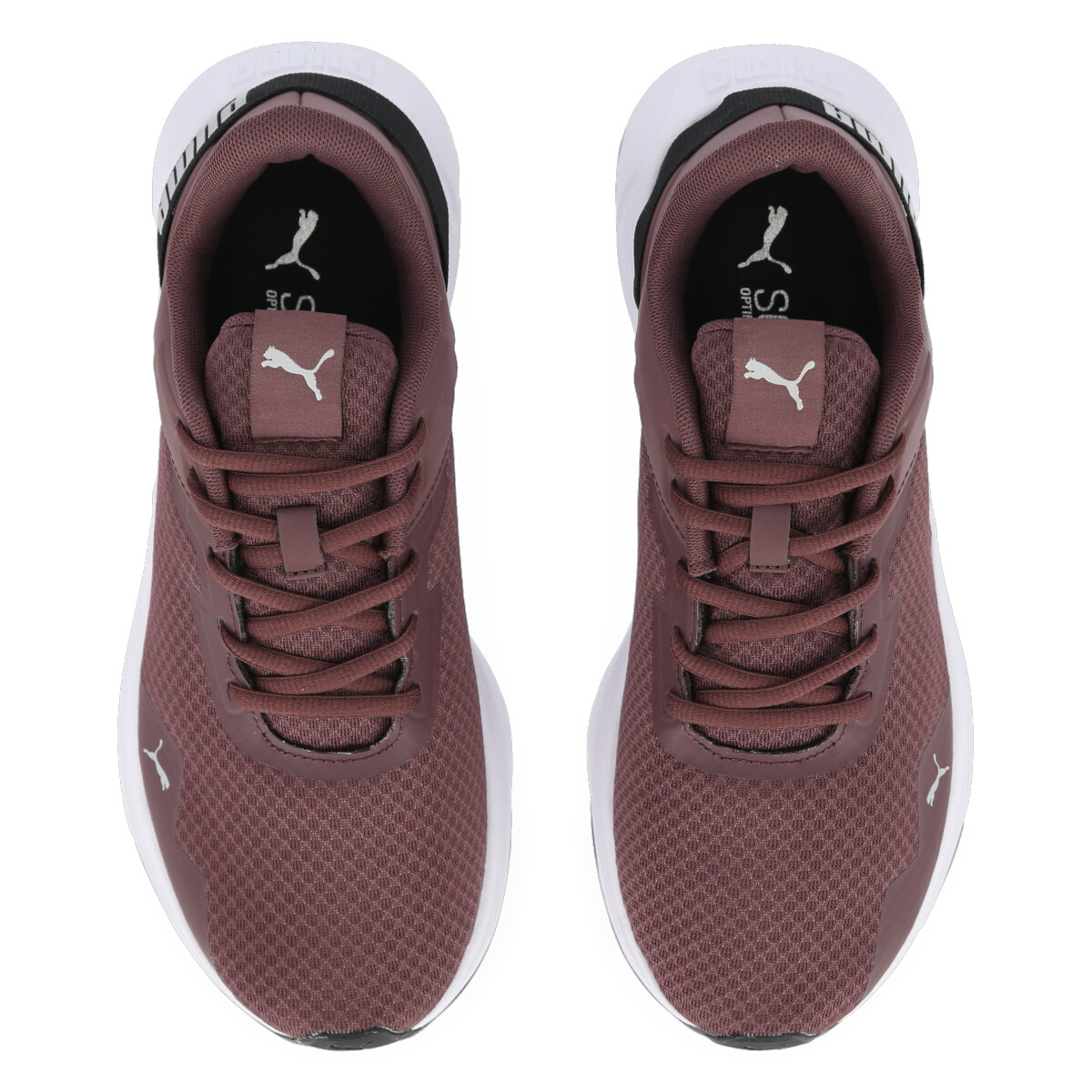 Zapatillas Puma Disperse Xt 2 Mesh | Dexter