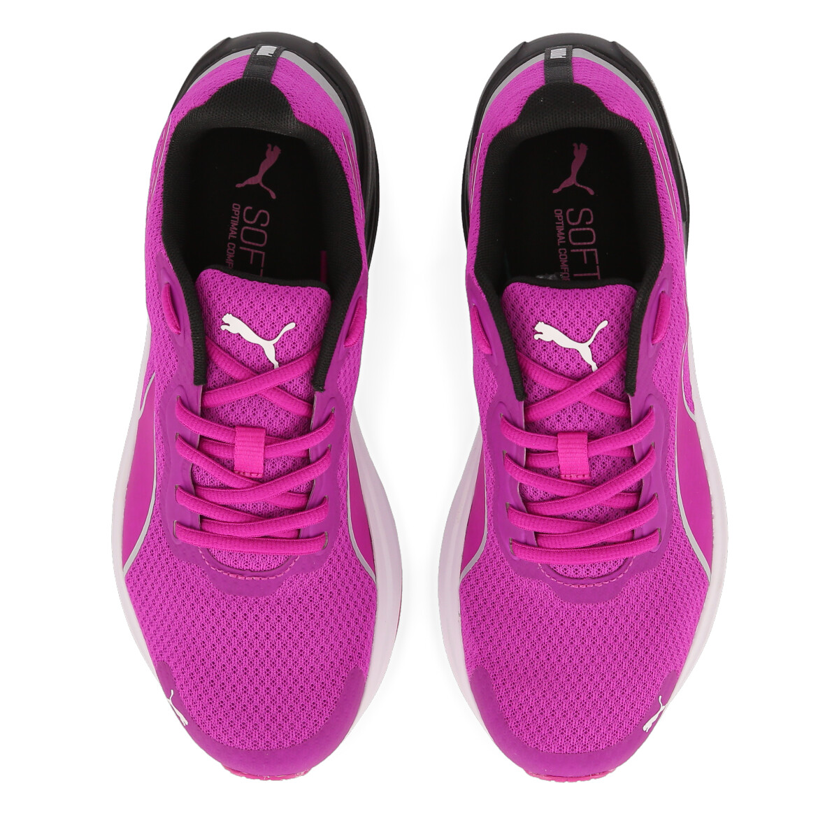 Zapatillas Puma Feline Profoam | Dexter