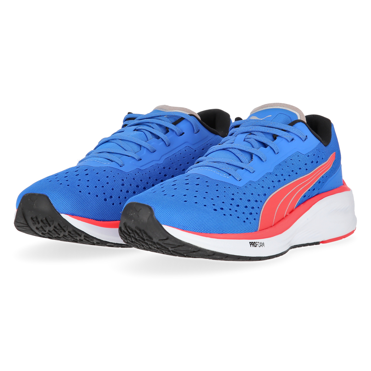 Zapatillas Running Puma Aviator Eng Pro Hombre | Dexter